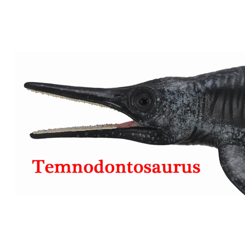 Temnodontosaurus Platyodon
