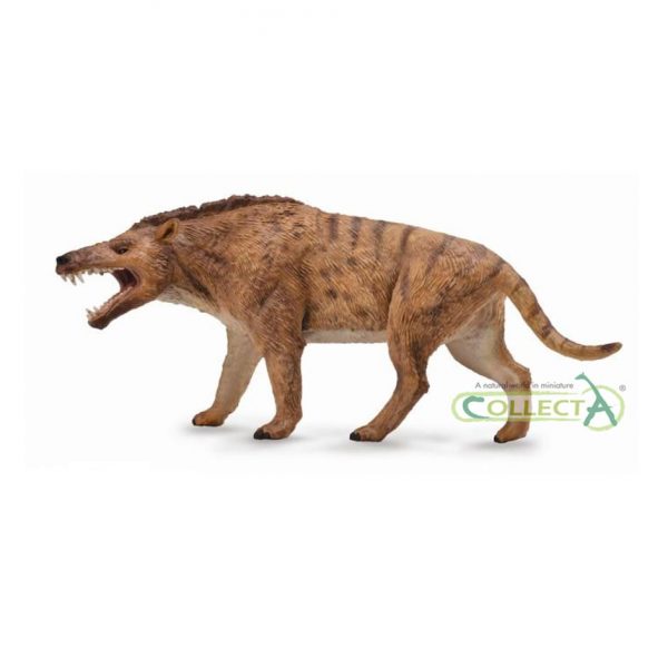 Collecta 1:20 Deluxe Andrewsarchus