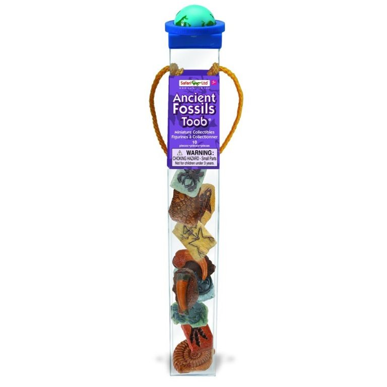 CollectA Belemnite Model