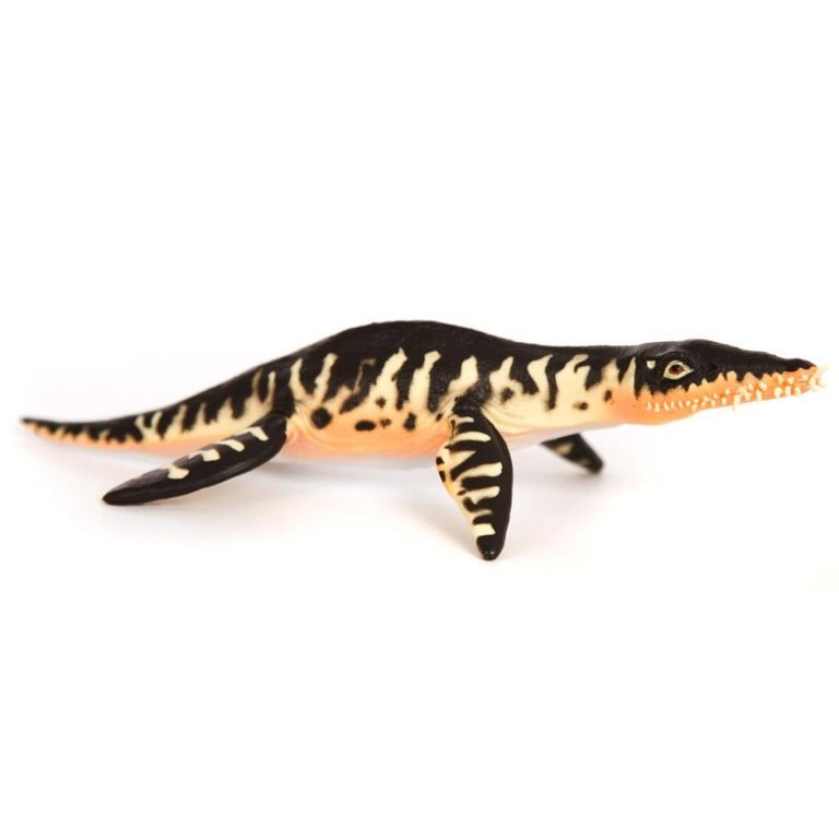 CollectA Liopleurodon Model (Pliosaur - The Age of Dinosaurs)