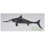 CollectA Excalibosaurus Prehistoric Life Marine Reptile Model