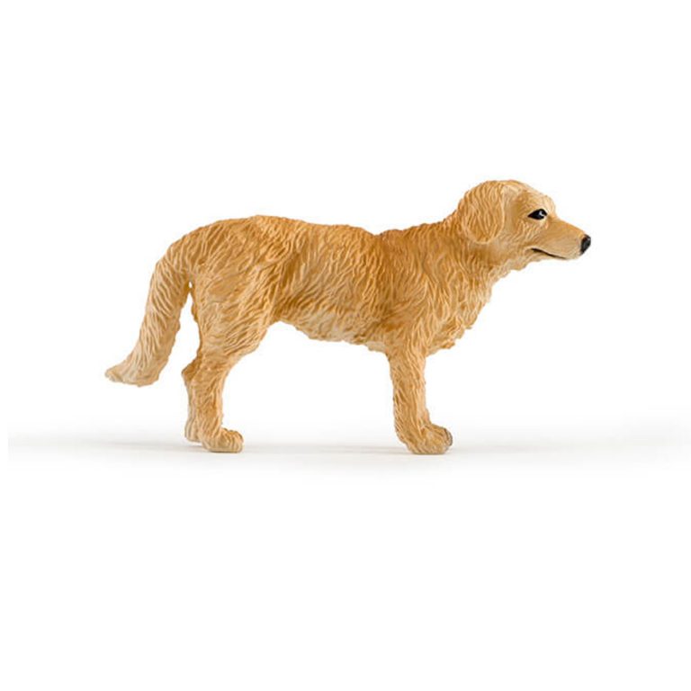 PNSO Family Zoo Ten Most Popular Asian Animals Dog