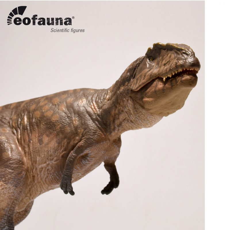 Eofauna Triceratops dinosaur model Dominant