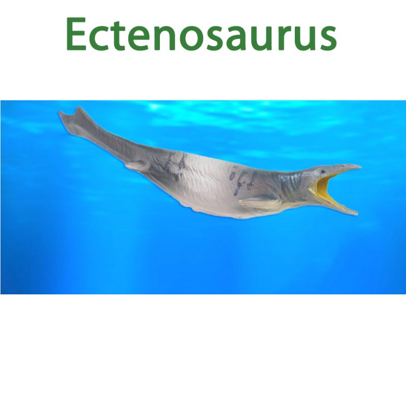 PNSO Age of Dinosaurs Ectenosaurus