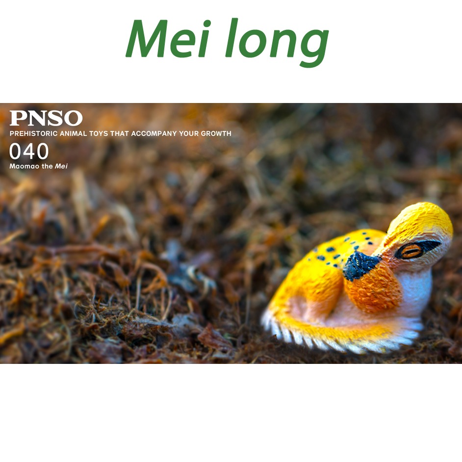 PNSO Age of Dinosaurs Mei long