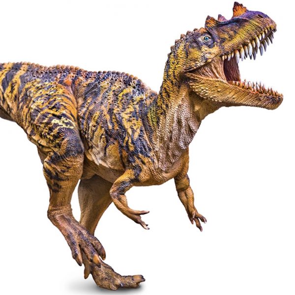 PNSO Wilson the Tyrannosaurus rex Dinosaur Model