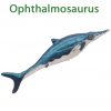 PNSO Ophthalmosaurus - PNSO Age of Dinosaurs Toys Ophthalmosaurus