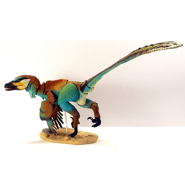 Beasts of the Mesozoic Raptor Linheraptor exquisitus