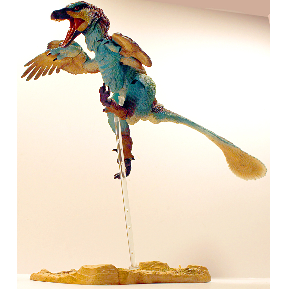 Beasts of the Mesozoic Raptor Linheraptor exquisitus