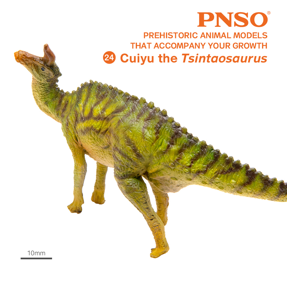 PNSO Cuiyu the Tsintaosaurus