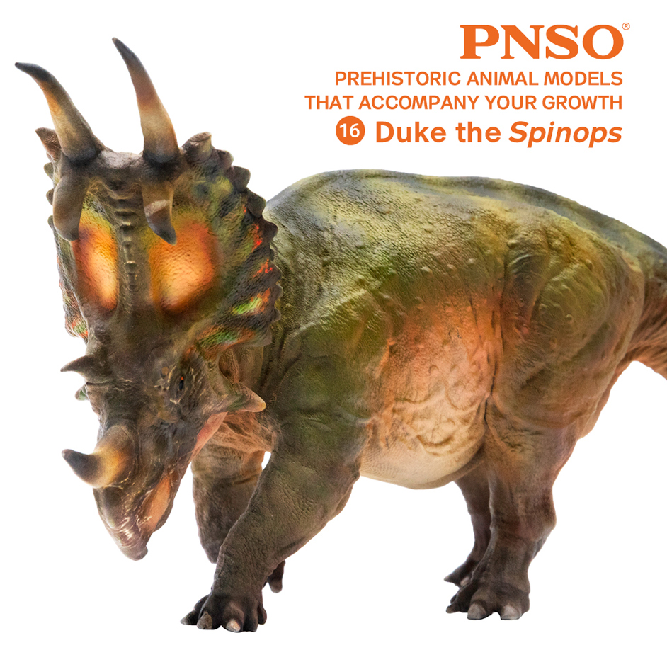 PNSO Duke the Spinops