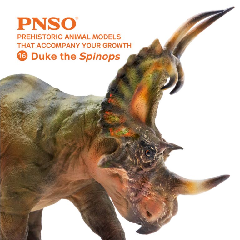 PNSO Duke the Spinops
