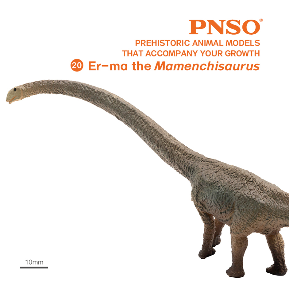 PNSO Er-ma the Mamenchisaurus