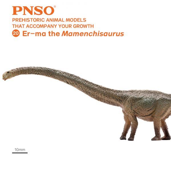 PNSO Er-ma the Mamenchisaurus