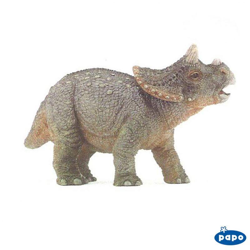 Papo Baby Triceratops Dinosaur Model
