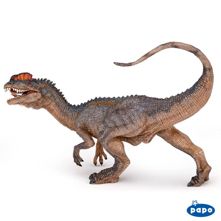 Papo Baby Triceratops Dinosaur Model