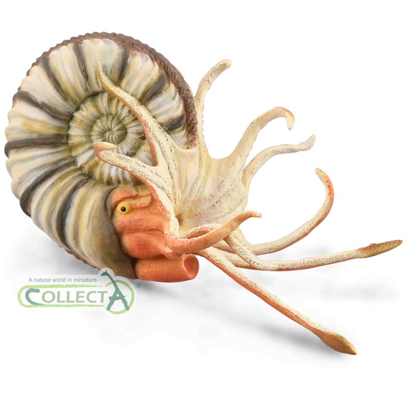 CollectA Belemnite Model