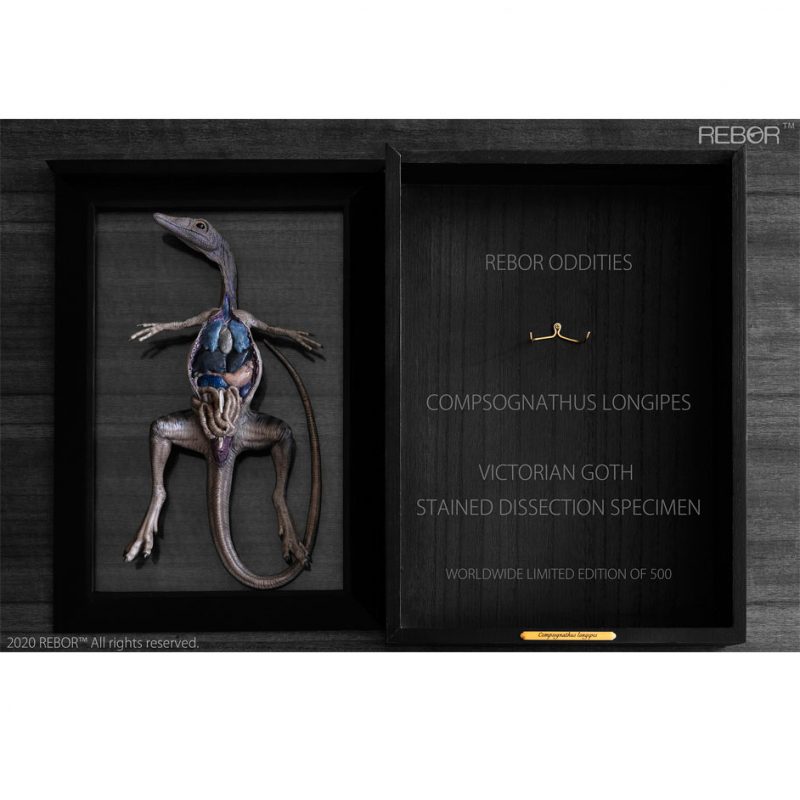 Rebor Oddities "Extinction" Renaissance Bronze