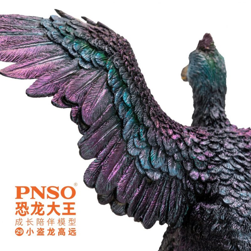 PNSO Gaoyuan the Microraptor Model