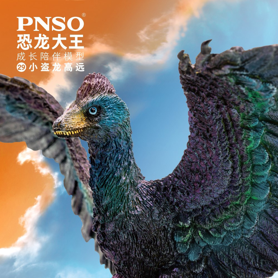 PNSO Gaoyuan the Microraptor Model