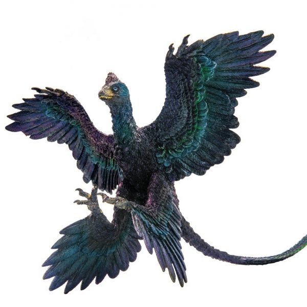 PNSO Gaoyuan the Microraptor Model