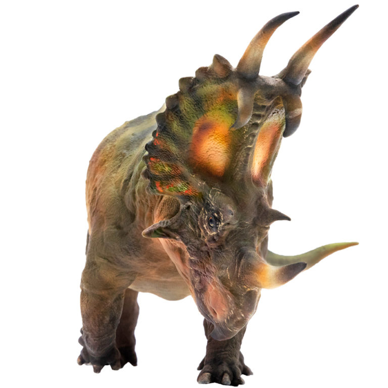 PNSO Duke the Spinops