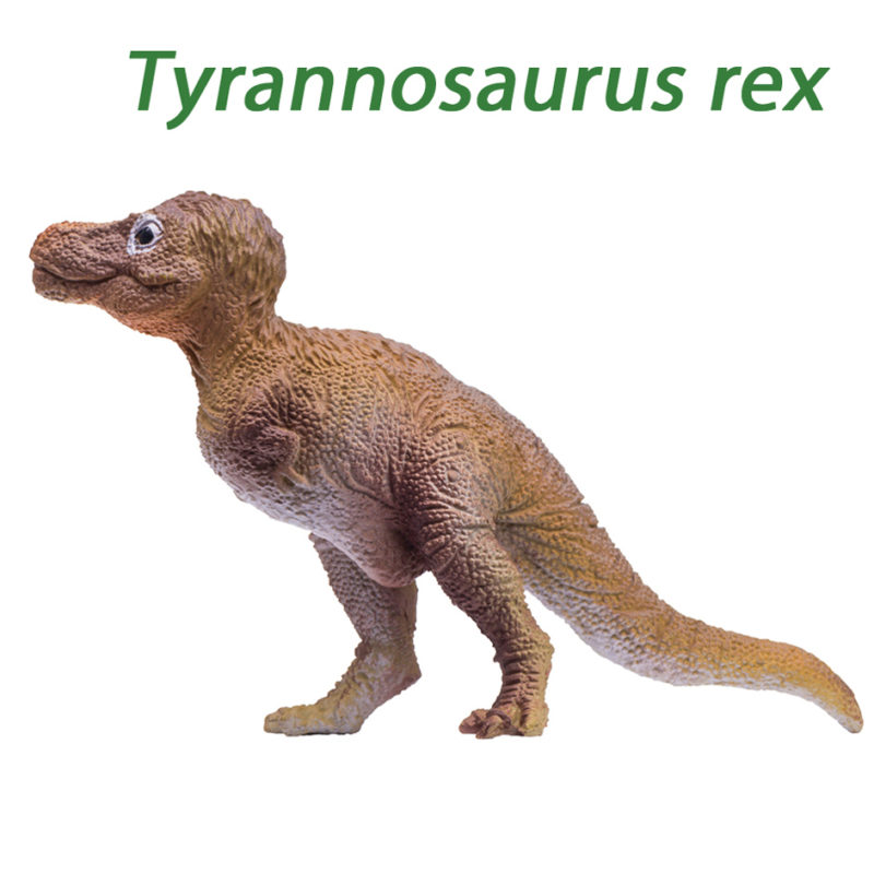 PNSO Little T. rex - PNSO Age of Dinosaurs Toys Little T. rex