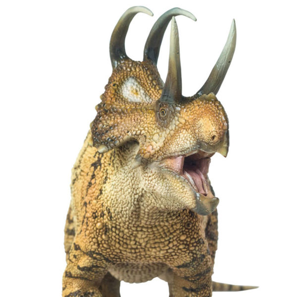 PNSO Perez the Machairoceratops Dinosaur Model - Everything Dinosaur
