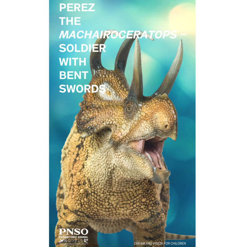 PNSO Perez the Machairoceratops Dinosaur Model - Everything Dinosaur
