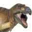 PNSO Wilson the T. rex Dinosaur Model - Everything Dinosaur