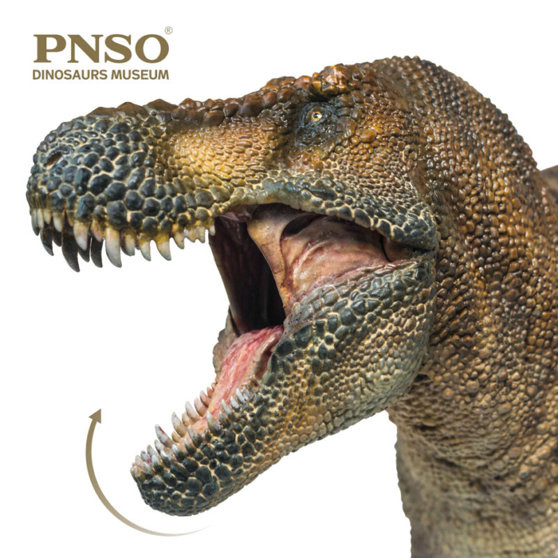 PNSO Wilson the T. rex Dinosaur Model - Everything Dinosaur