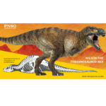 PNSO Wilson the T. rex Dinosaur Model - Everything Dinosaur