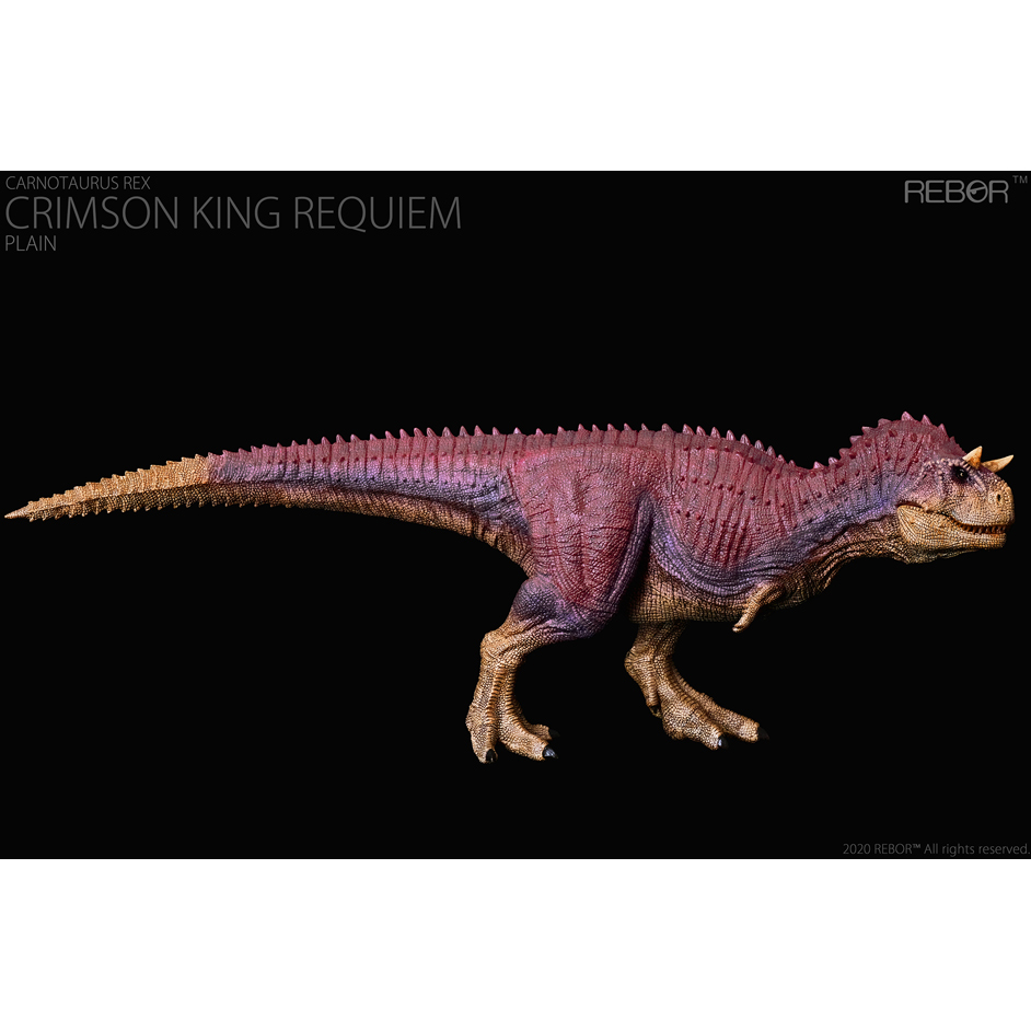 Rebor Dinosaurs - Rebor Dinosaur Models