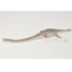 CollectA Age of Dinosaurs Popular Elasmosaurus - Everything Dinosaur