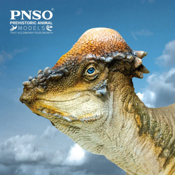 PNSO Austin the Pachycephalosaurus Dinosaur Model - Everything Dinosaur