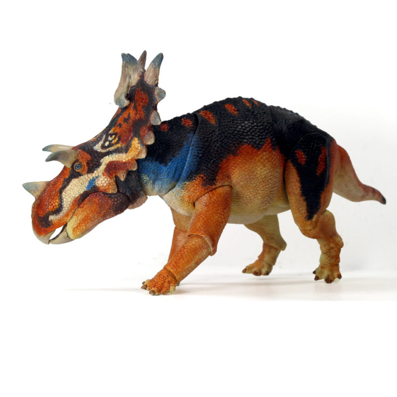 Beasts of the Mesozoic Spiclypeus shipporum - Everything Dinosaur