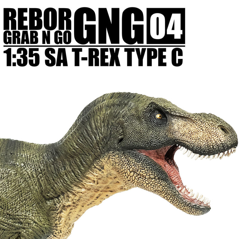 Rebor GNG02 1:35 scale SA T. rex Type A