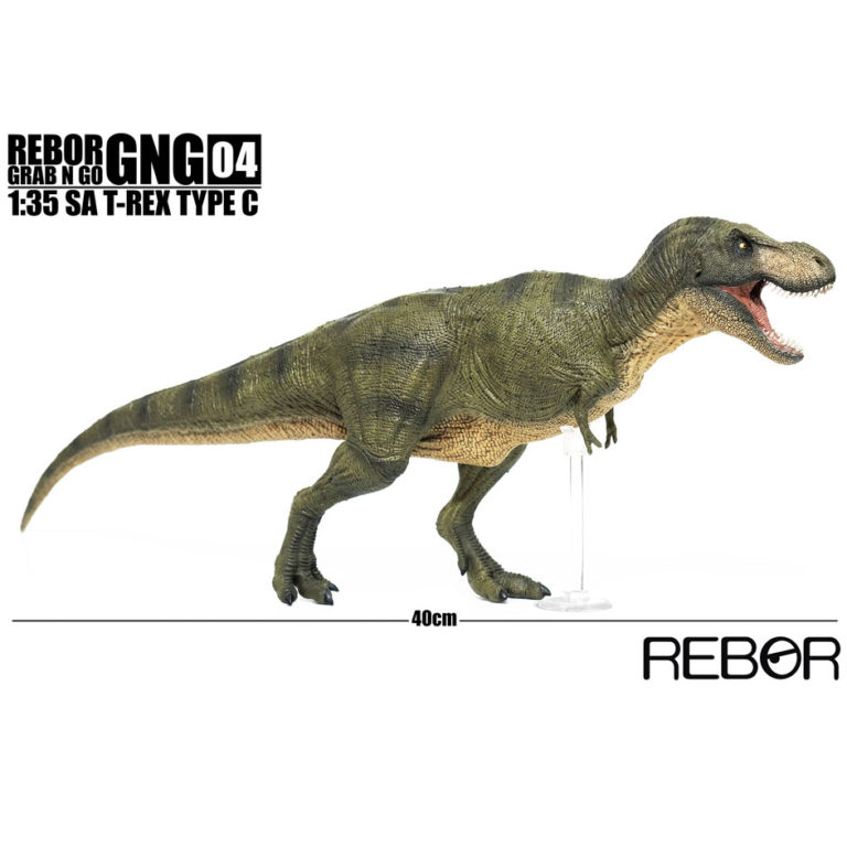 Rebor GNG02 1:35 scale SA T. rex Type A