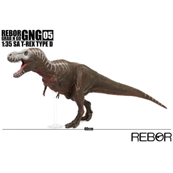 Rebor GNG02 1:35 scale SA T. rex Type A