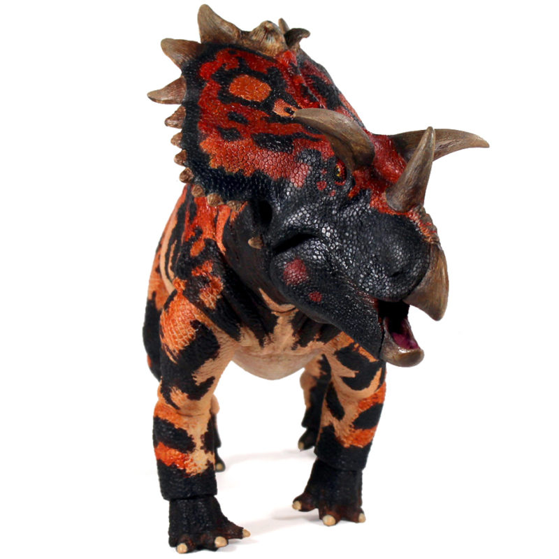 Beasts of the Mesozoic Utahceratops gettyi - Everything Dinosaur