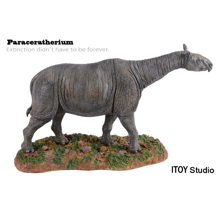 ITOY Studio Deluxe Paraceratherium Model - Everything Dinosaur
