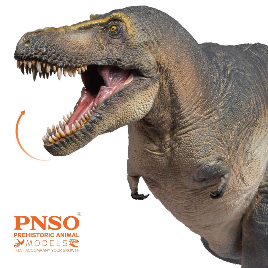PNSO Prehistoric Animal Models