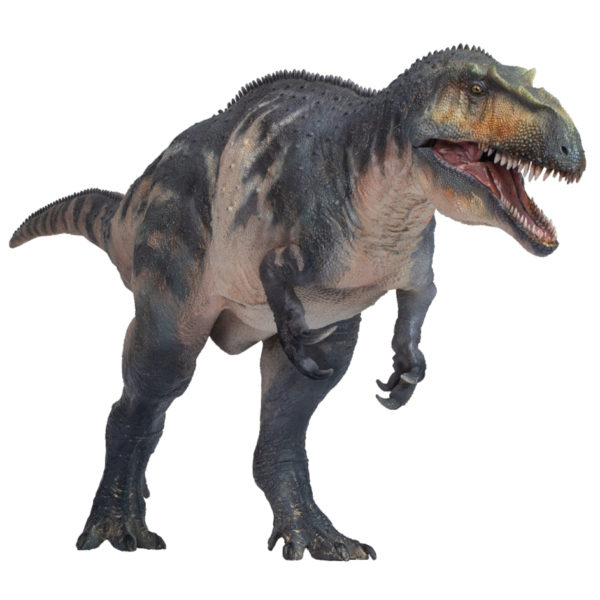 PNSO Connor the Torvosaurus Dinosaur Model - Everything Dinosaur