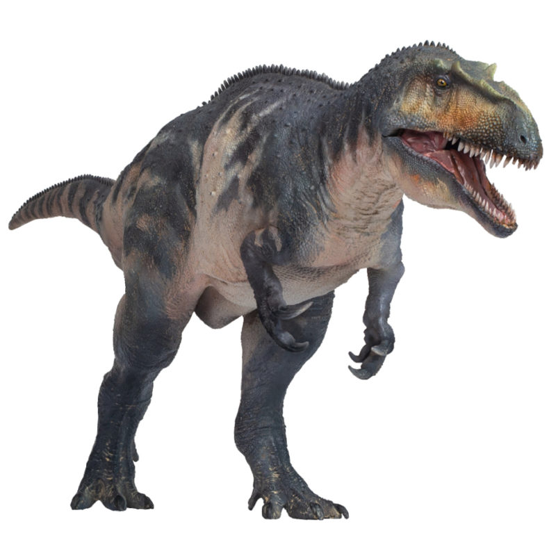 PNSO Connor the Torvosaurus Dinosaur Model - Everything Dinosaur