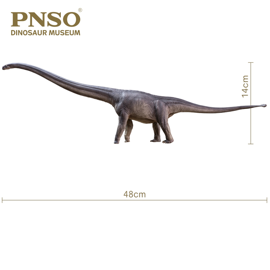 PNSO Er-ma the Mamenchisaurus (2021) - Everything Dinosaur