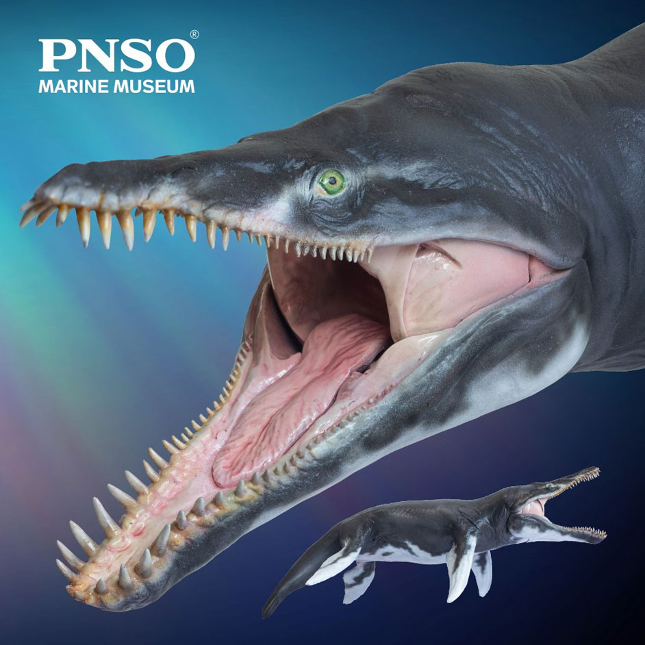 PNSO Jeff the Kronosaurus Model - Everything Dinosaur