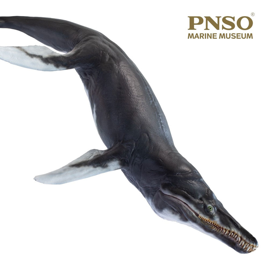 PNSO Jeff the Kronosaurus Model - Everything Dinosaur