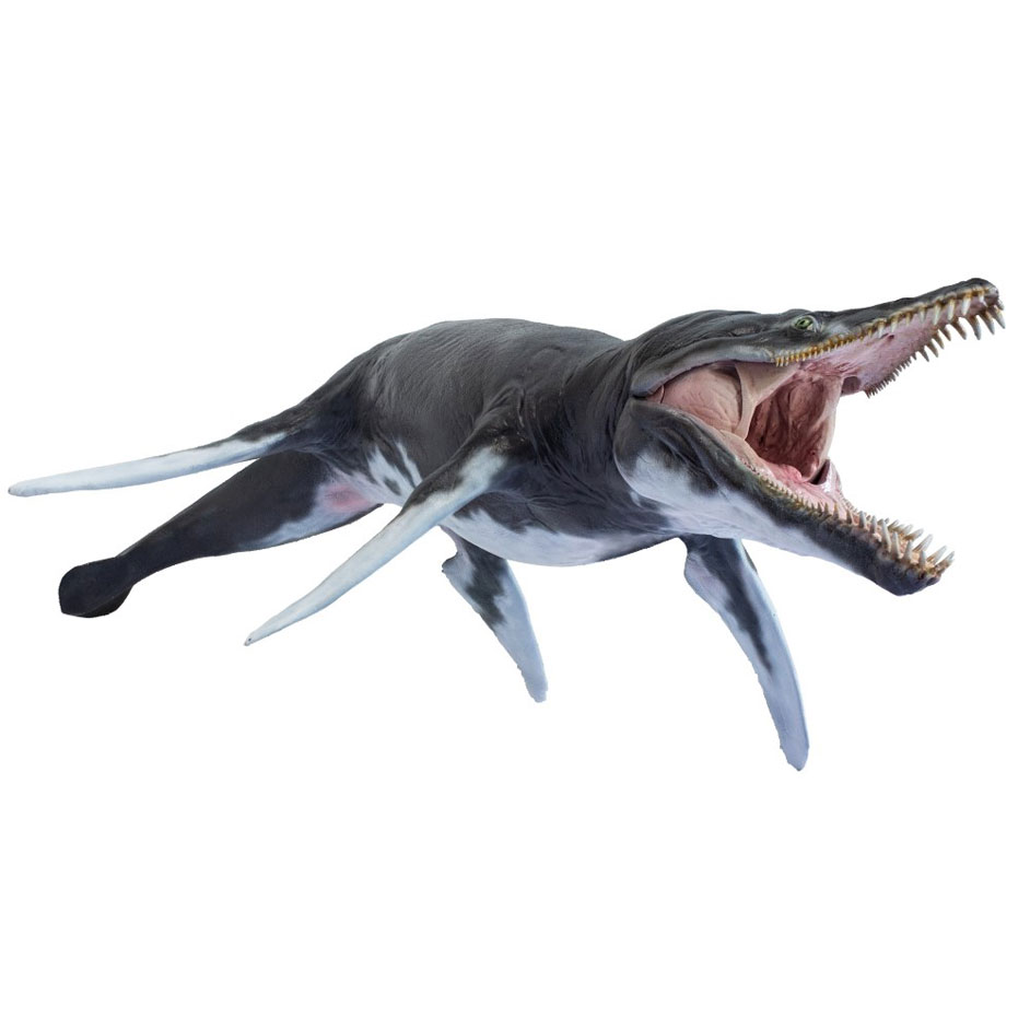 PNSO Jeff the Kronosaurus Model - Everything Dinosaur