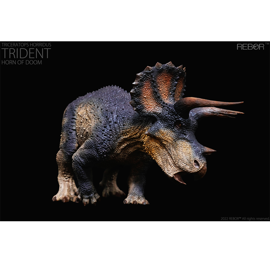 Rebor Dinosaurs - Rebor Dinosaur Models
