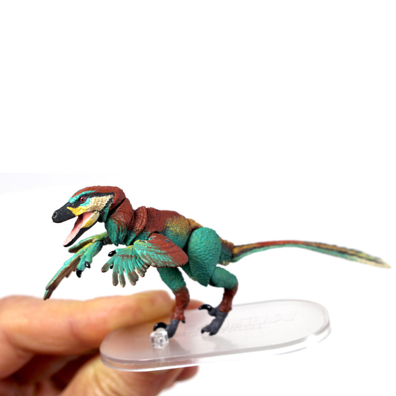 Beasts of the Mesozoic 1/18th Linheraptor exquisitus - Everything Dinosaur